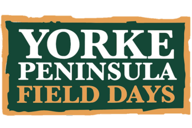 Events – Performance Feeds